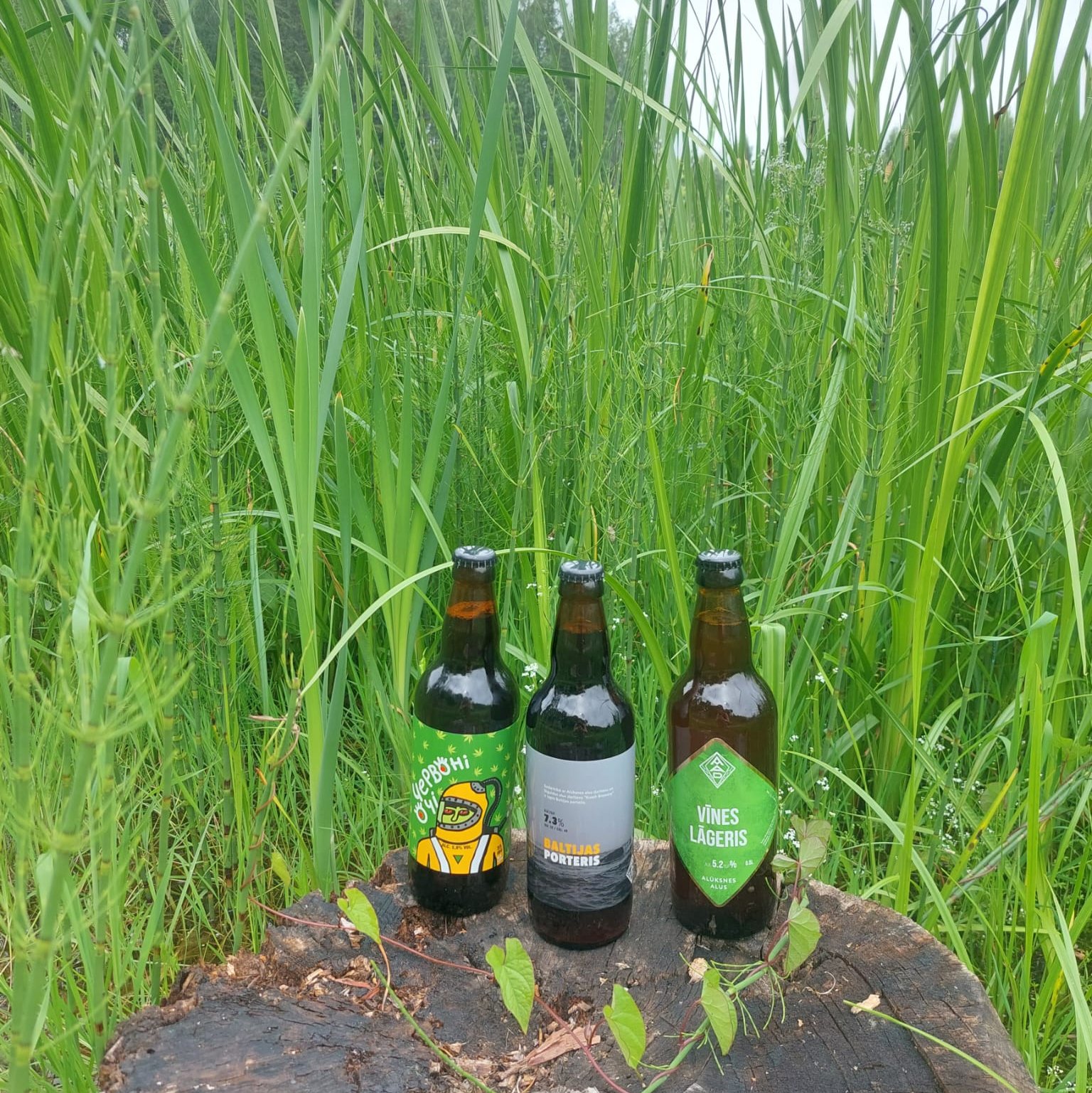 Alūksnes alus Alūksnes alus paviljonā- VisitAluksne